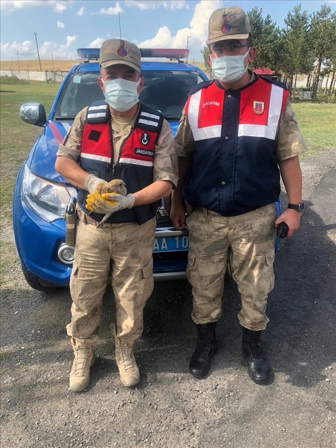 JANDARMA ÇEVRE KORUMA TİMİ BOŞ DURMUYOR